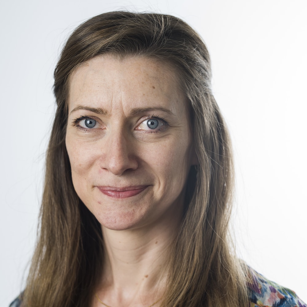 Organigramme - Action Damien